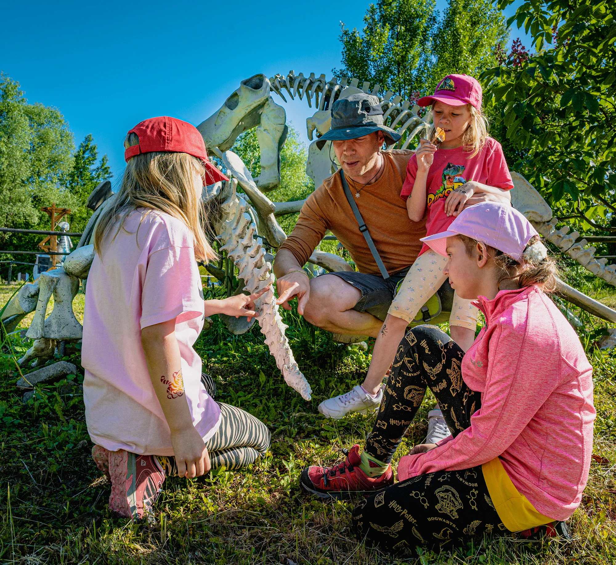 INFORMATION FOR SCHOOLS | Dinopark